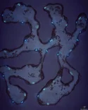 Lost Atlas - Search from 5000+ free battle maps for D&D and other RPGs